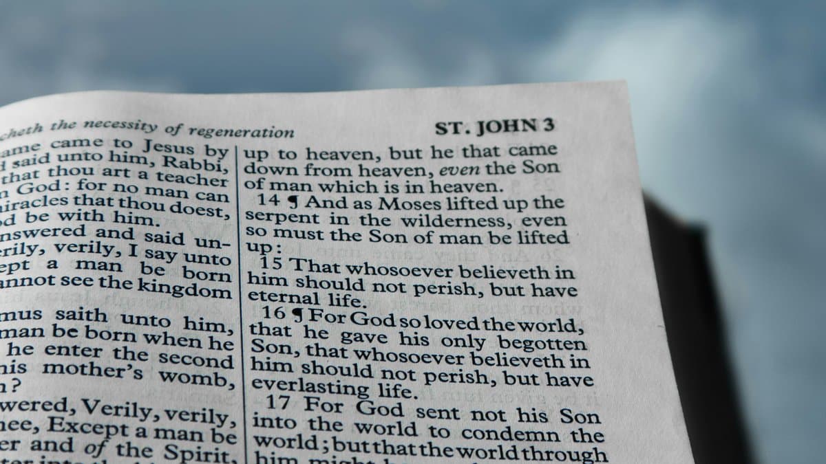 Random Bible Verse Generator | Daily Scripture & Verse of the Day ...