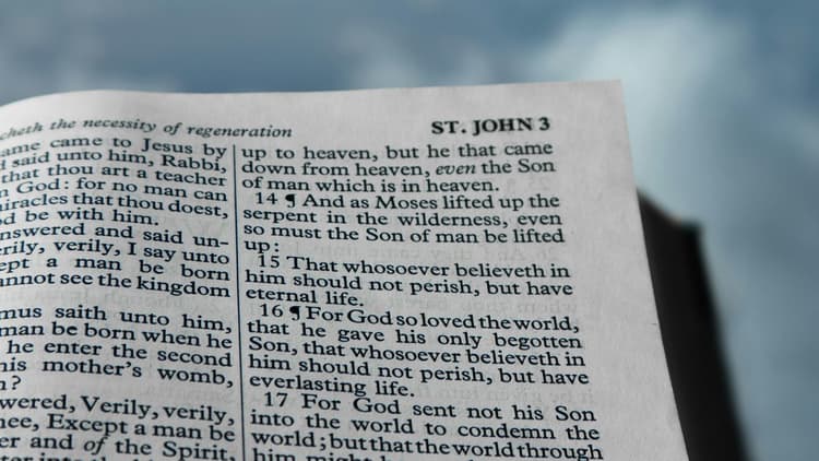 Random Bible Verse Generator | Daily Scripture & Verse of the Day ...