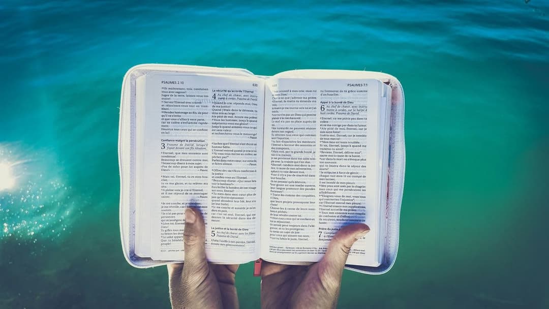 Random Bible Verse Generator | Daily Scripture & Verse of the Day ...